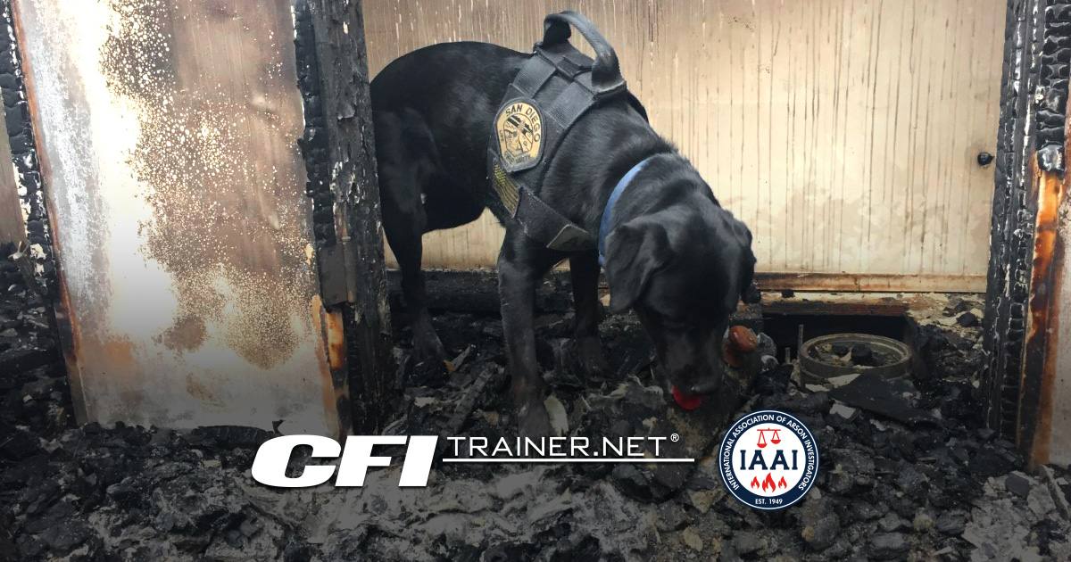 Certified Fire Investigator Training - - Ignitable Liquid Detection ...